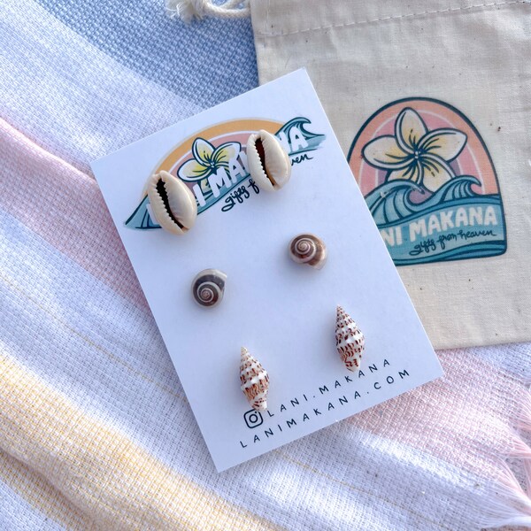 Shell Stud Earrings - Etsy