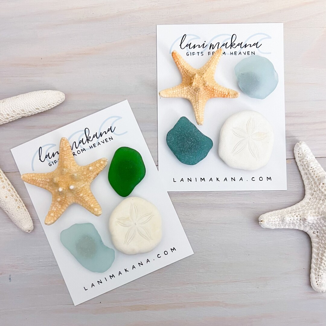 Beach Magnet Set Sea Glass, Starfish, & Sand Dollar Magnets - Etsy