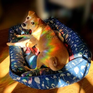 Paw Print Suncatcher Sticker for Windows, Rainbow Maker Window Decal ...