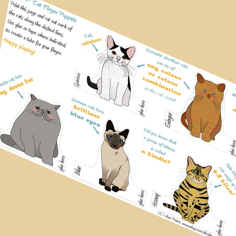 Printable Cat Finger Puppets: Coloring Activity, Party Favor (PDF) - Etsy