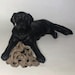 Custom Pet Memorial Urn: Black Labrador Dog Ashes Keepsake - Etsy