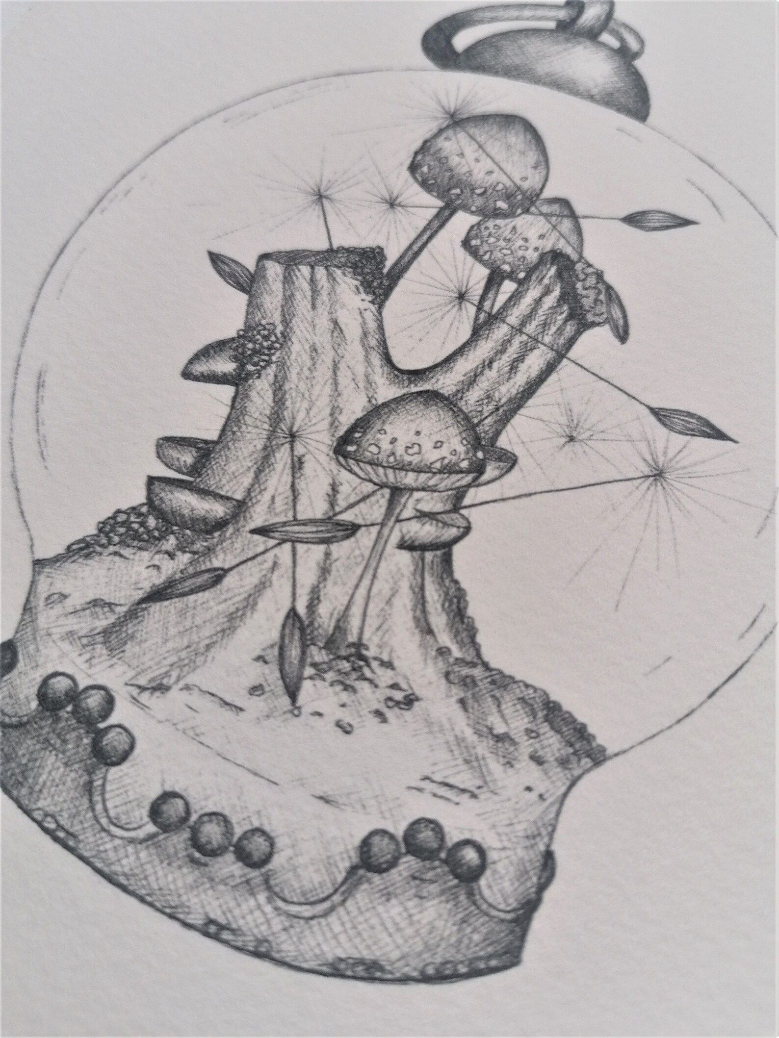 Round Mushroom Terrarium Gothic Art Fine Art Print - Etsy