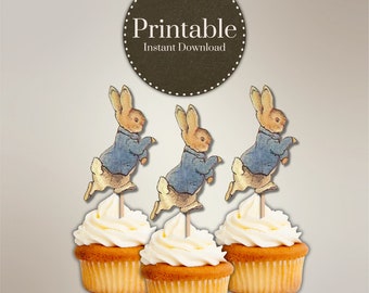 Beatrix Potter Toppers, Cupcake Toppers, Peter Rabbit Toppers, Party ...