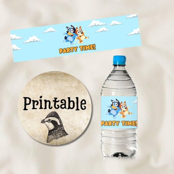 Bluey Water Bottle Labels Printable - Etsy