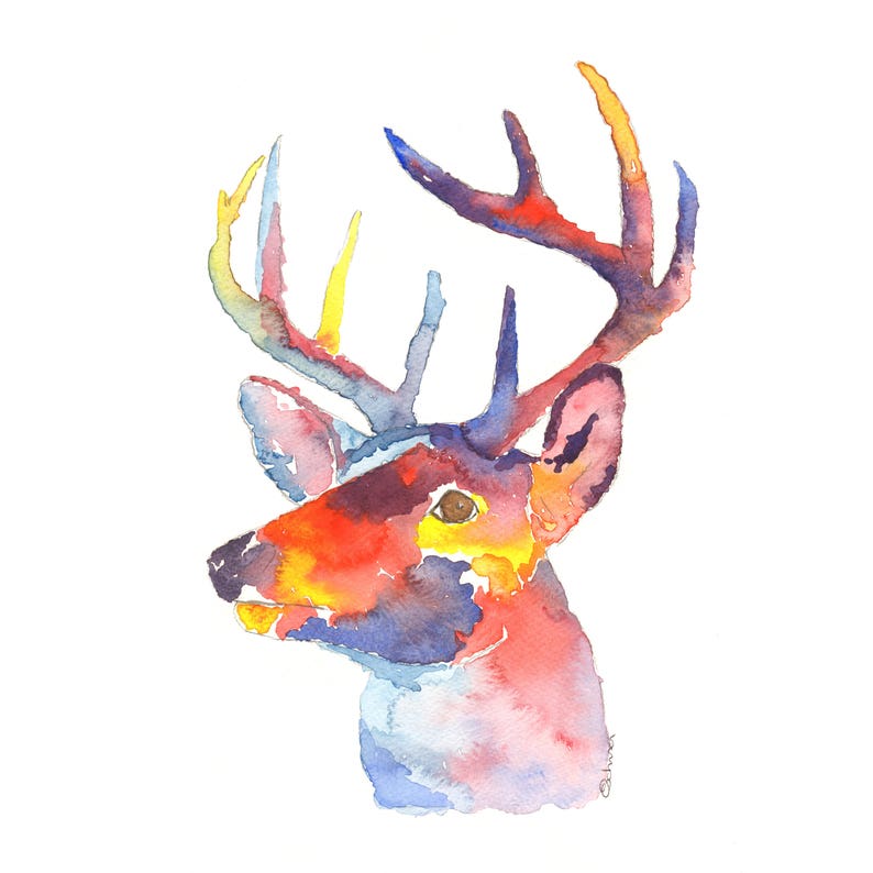 Stag painting watercolour paintings of stags Paintings of | Etsy