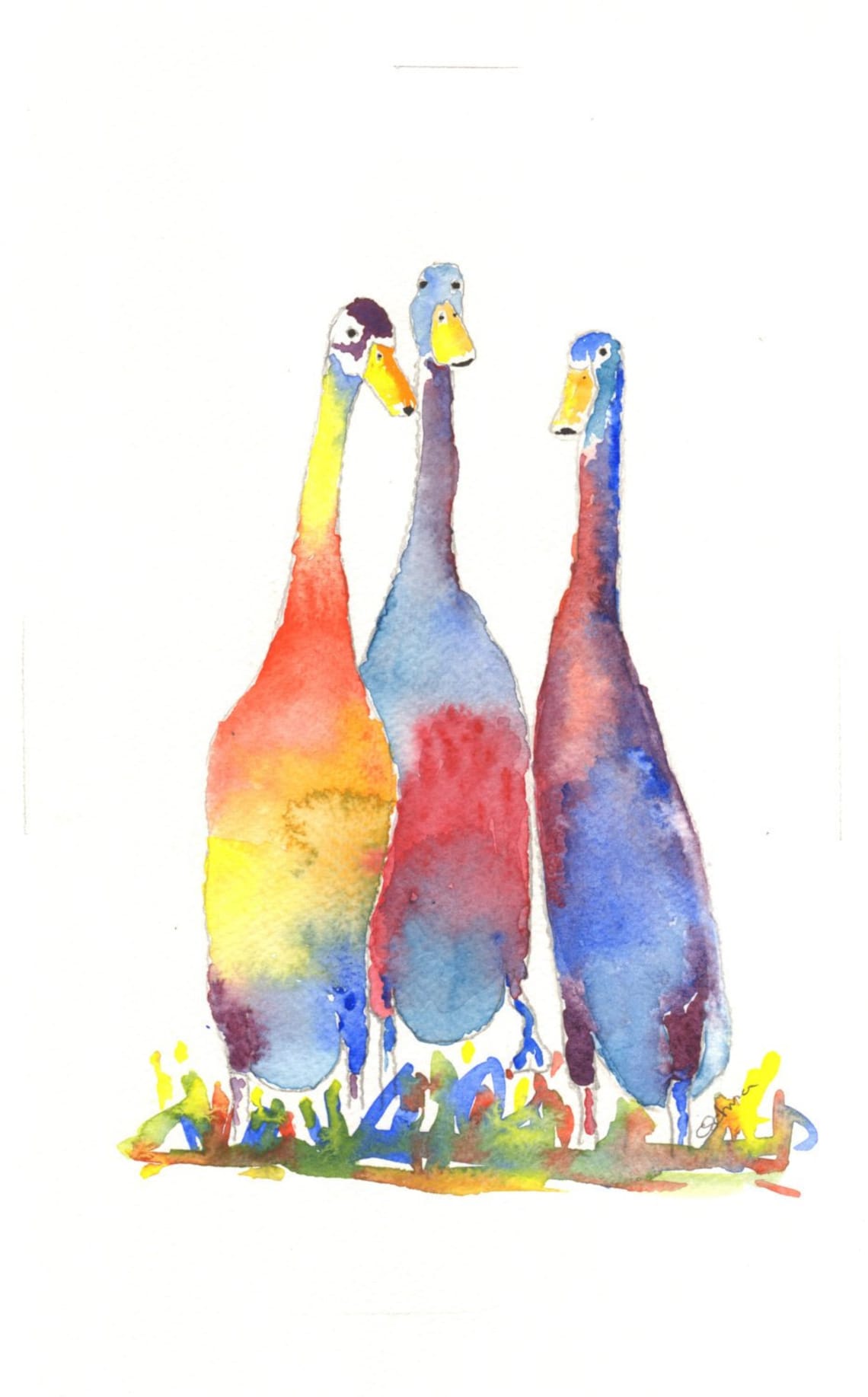 Paintings of Ducks Indian Runner Duck Pictures Contemporary | Etsy