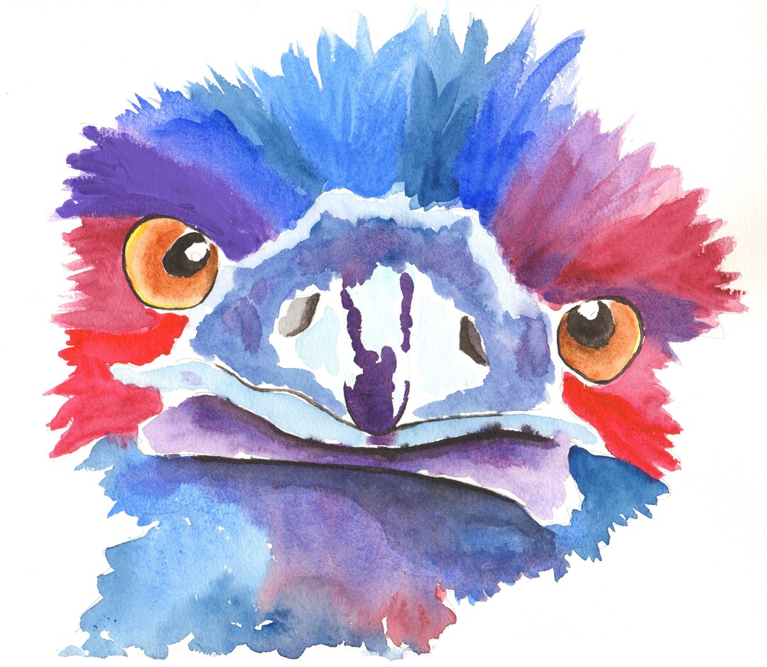 Emu Pictures, Bird Paintings, Paintings of Emus. Colourful Bird Prints ...