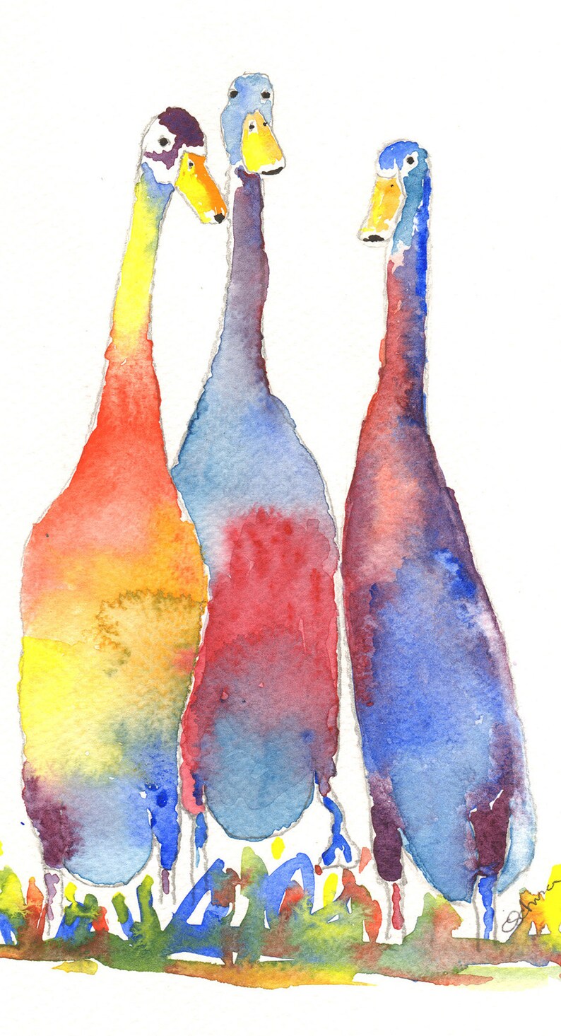 Paintings of Ducks Indian Runner Duck Pictures Contemporary - Etsy UK