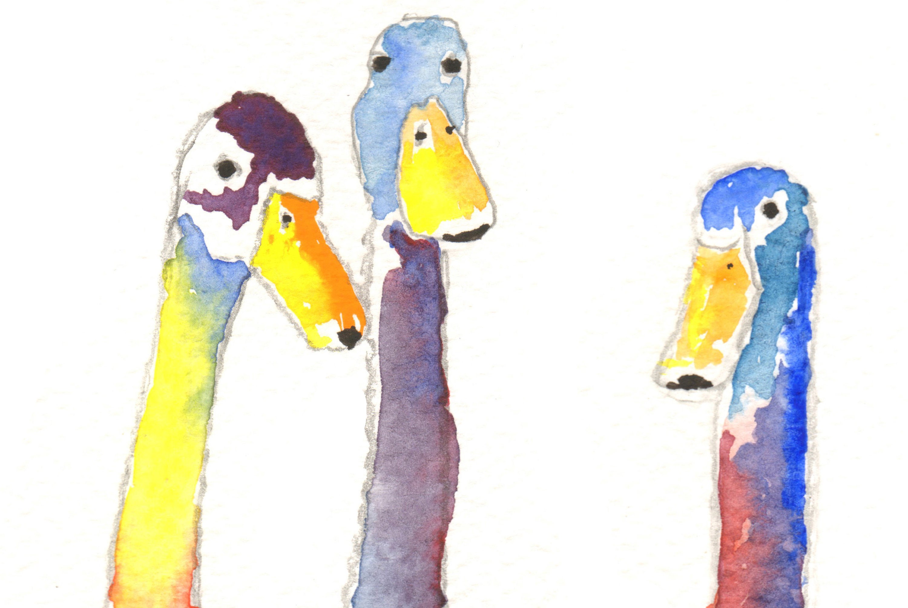 Paintings of Ducks Indian Runner Duck Pictures Contemporary - Etsy UK