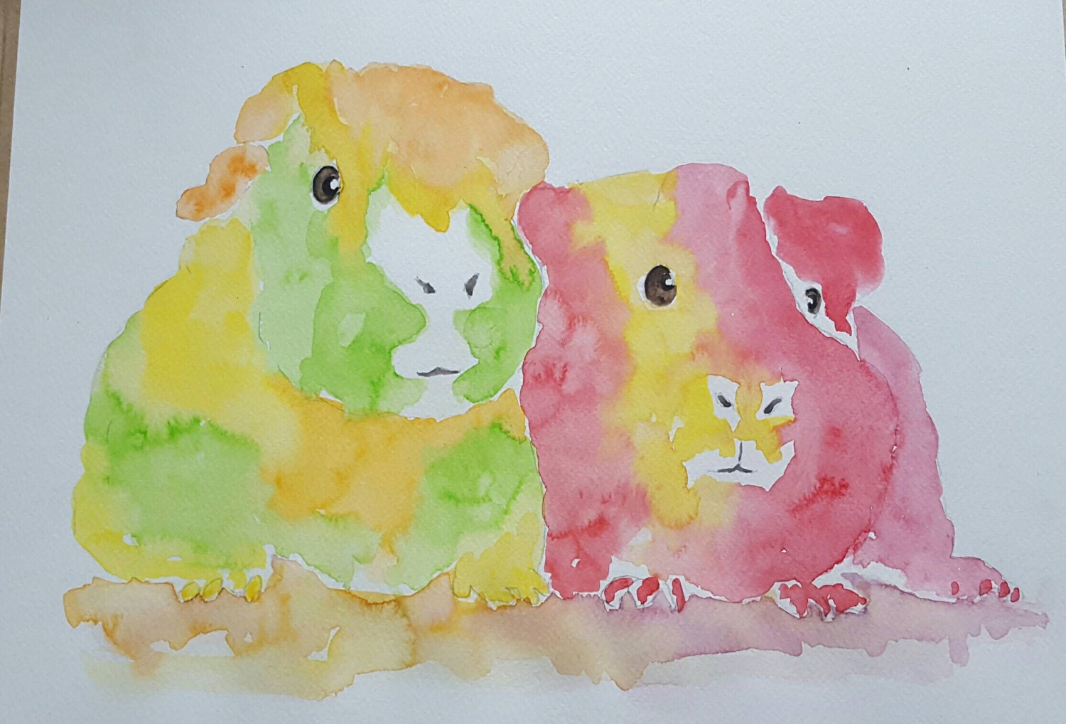 Guinea Pig Art, Pictures of Guinea Pigs. Watercolor Guinea Pig Prints ...