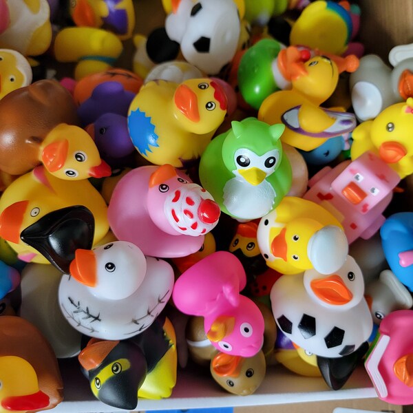 Rubber Ducks Jeep - Etsy