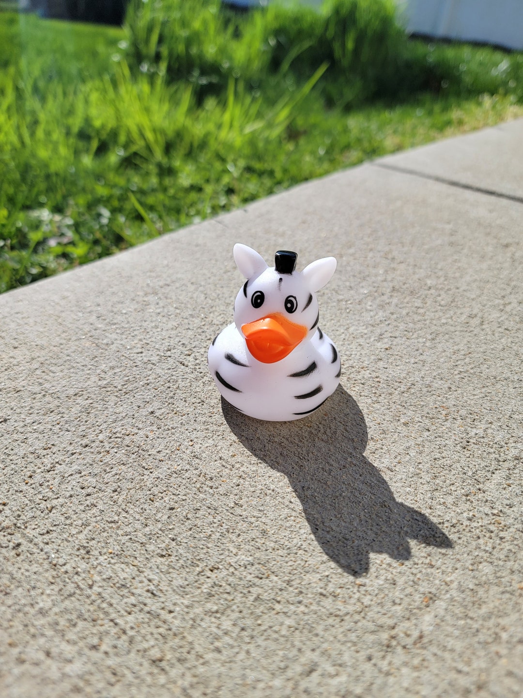 Zebra Duck black and White Safari Rubber Ducky - Etsy