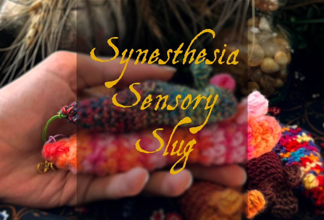 Synesthesia Sensory Slug Crochet Fidget Customizable - Etsy