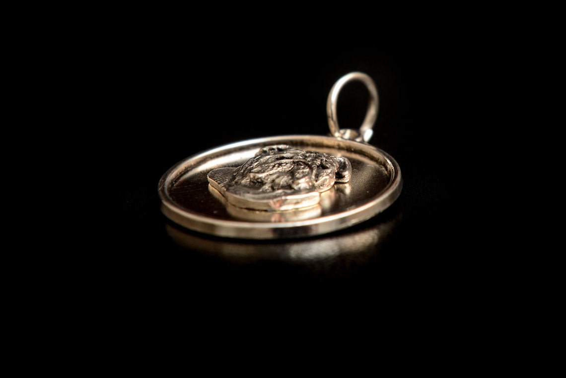 Bulldog, English Bulldog, Dog Necklace, Medallion, Limited Edition ...