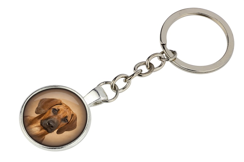 Rhodesian Ridgeback. Keyring, Keychain for Dog Lovers. Photo Jewellery ...