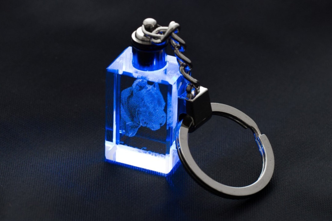 Cane Corso, Dog Crystal Keyring, Keychain, High Quality, Exceptional ...