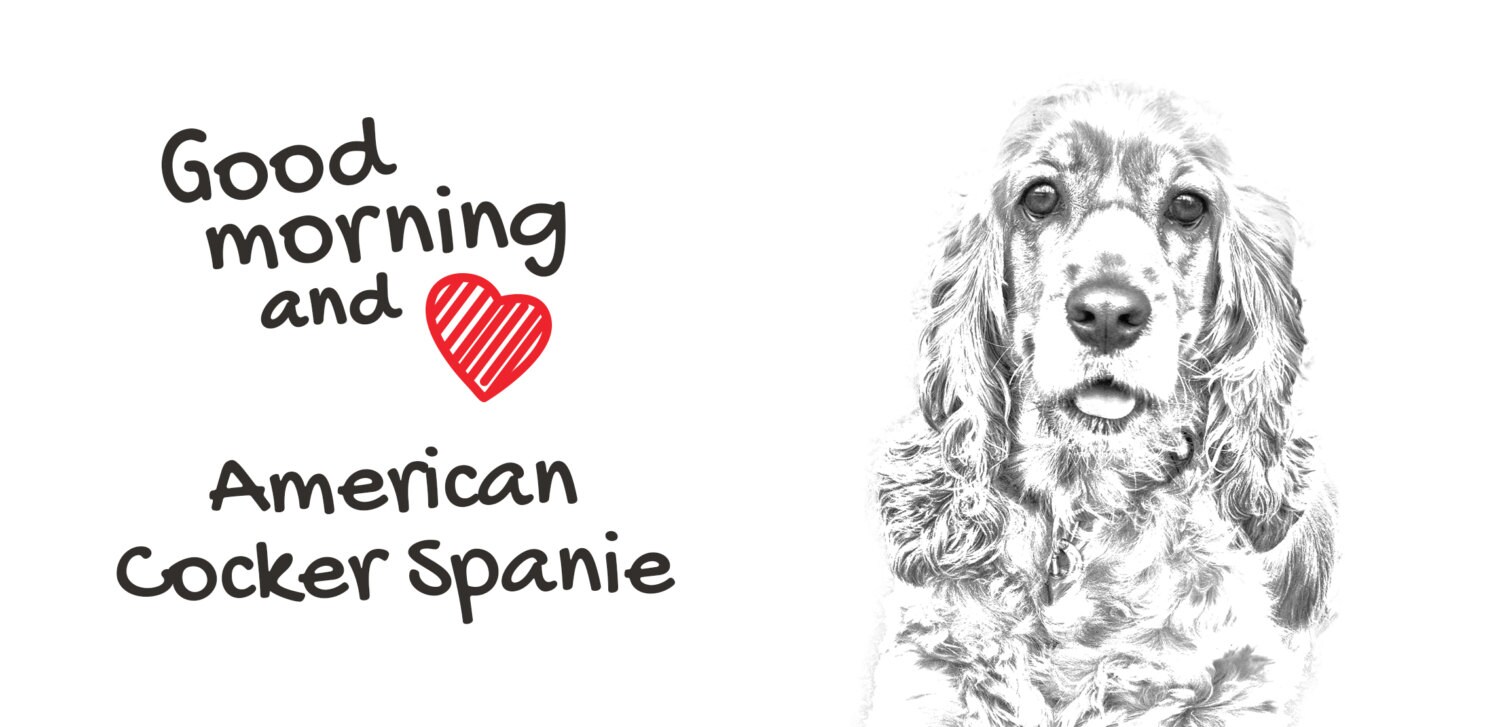 American Cocker Spaniel - a Mug With a Dog. "good Morning and Love ...