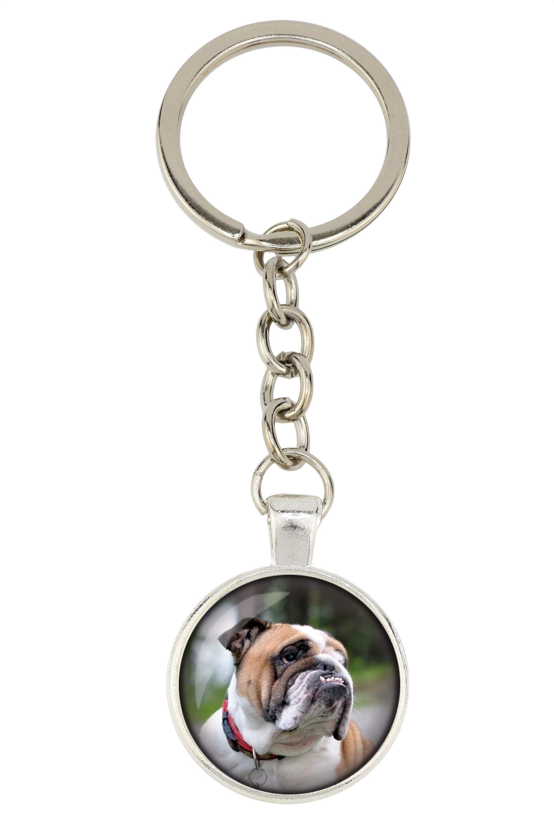 English Bulldog. Keyring keychain for dog lovers. Photo | Etsy