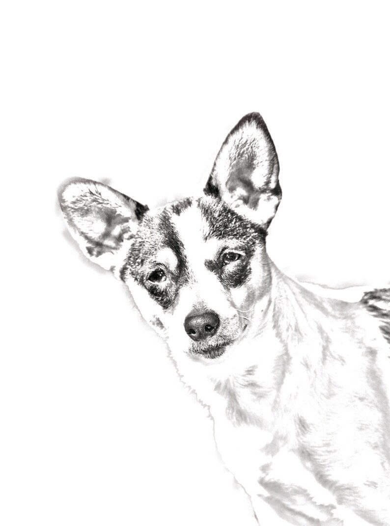 Rat Terrier Gravestone Oval Ceramic Tile With an Image of a - Etsy