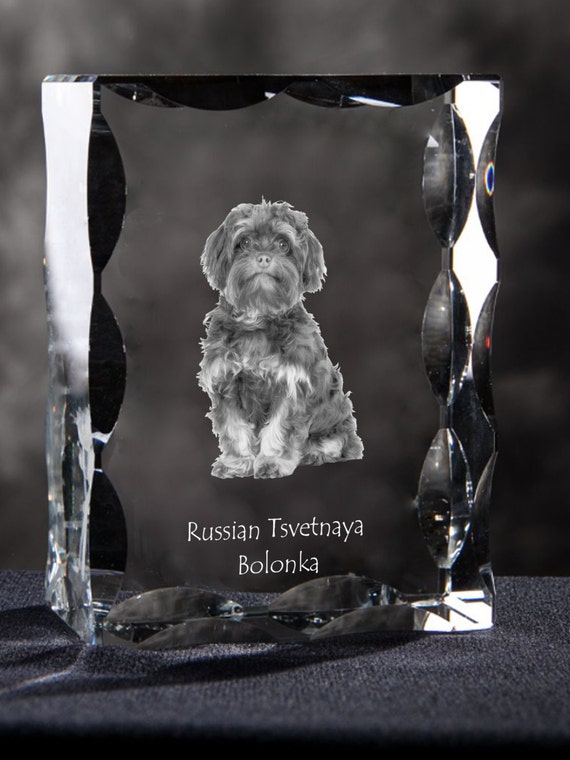Home & Living Statues Cubic crystal with dog Bolonka decoration limited ...
