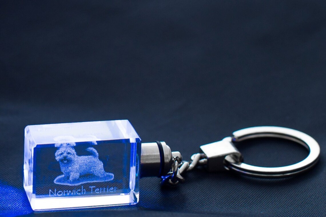 Norwich Terrier Dog Crystal Keyring Keychain High Quality - Etsy