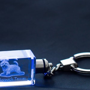 Norwich Terrier Dog Crystal Keyring Keychain High Quality - Etsy