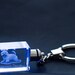 Norwich Terrier Dog Crystal Keyring Keychain High Quality - Etsy