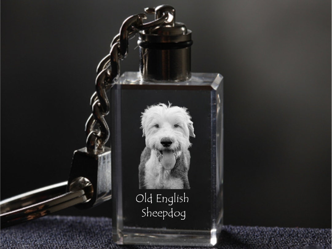 Old English Sheepdog, Dog Crystal Keyring, Keychain, High Quality ...