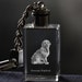 Boxer, Dog Lamp Statue, Tiffany Shade, Limited Edition, Artdog - Etsy