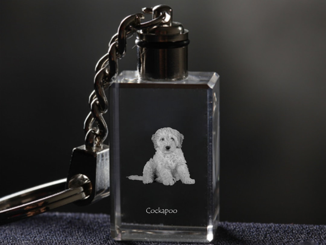 Cockapoo , Dog Crystal Keyring, Keychain, High Quality, Exceptional ...