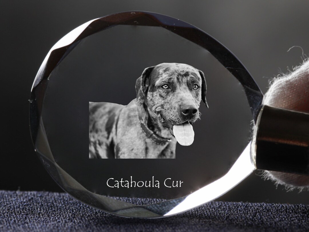 Catahoula Cur , Dog Crystal Keyring, Keychain, High Quality ...