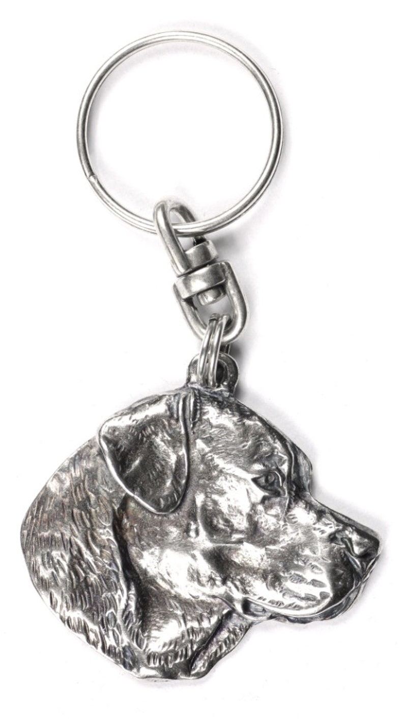 NEW, Labrador Retriever, Dog Keyring, Key Holder, in Casket, Limited ...