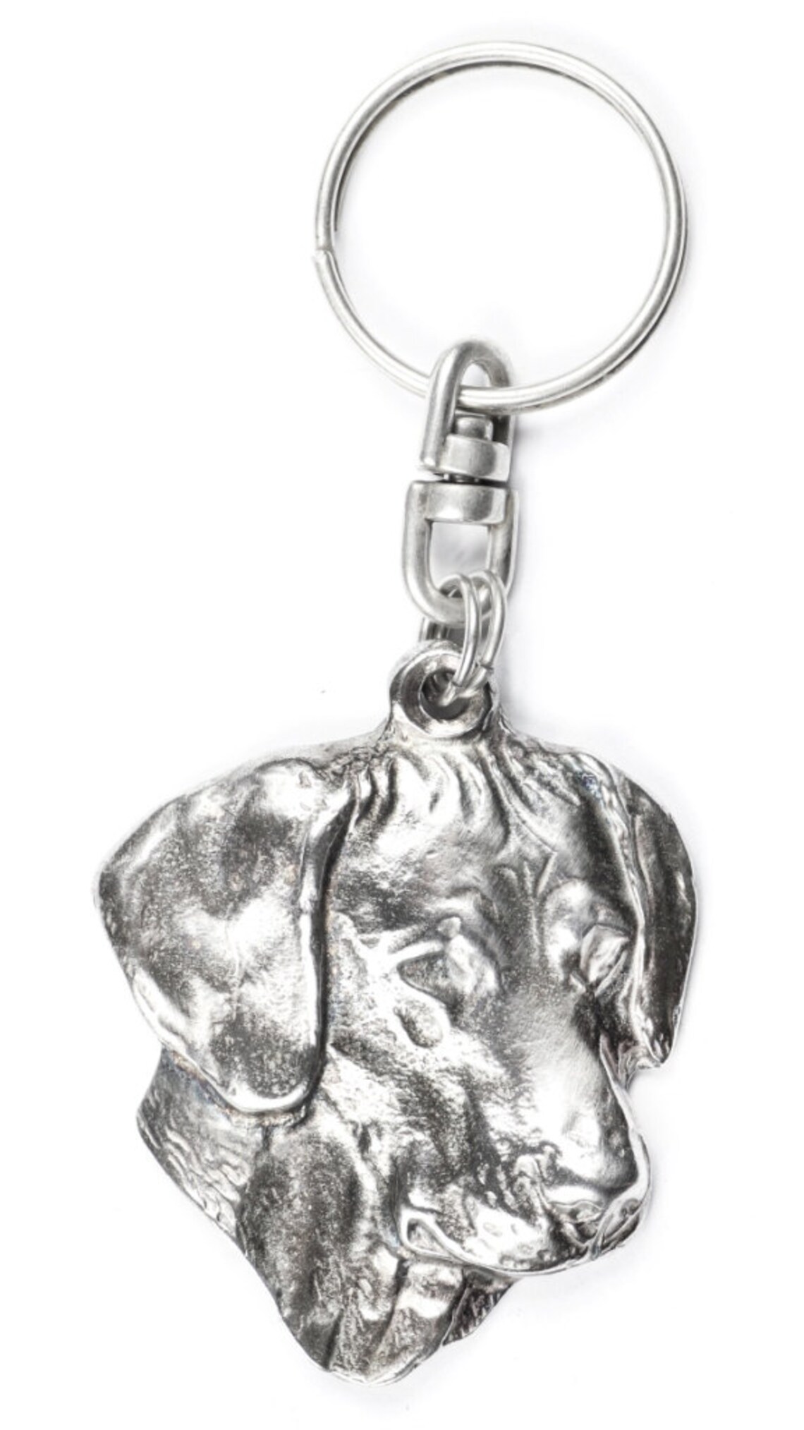 NEW Rhodesian Ridgeback African Lion Boy African Lion Girl | Etsy