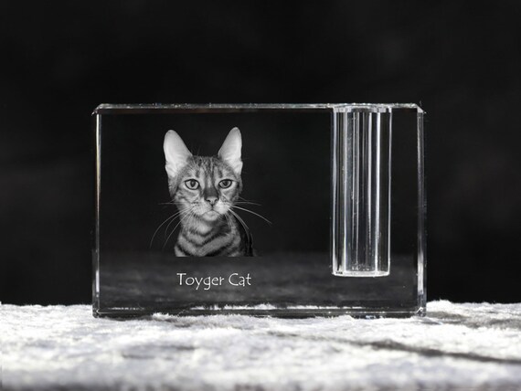 Grey Toyger