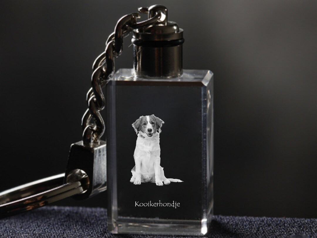 Kooikerhondje , Dog Crystal Keyring, Keychain, High Quality ...
