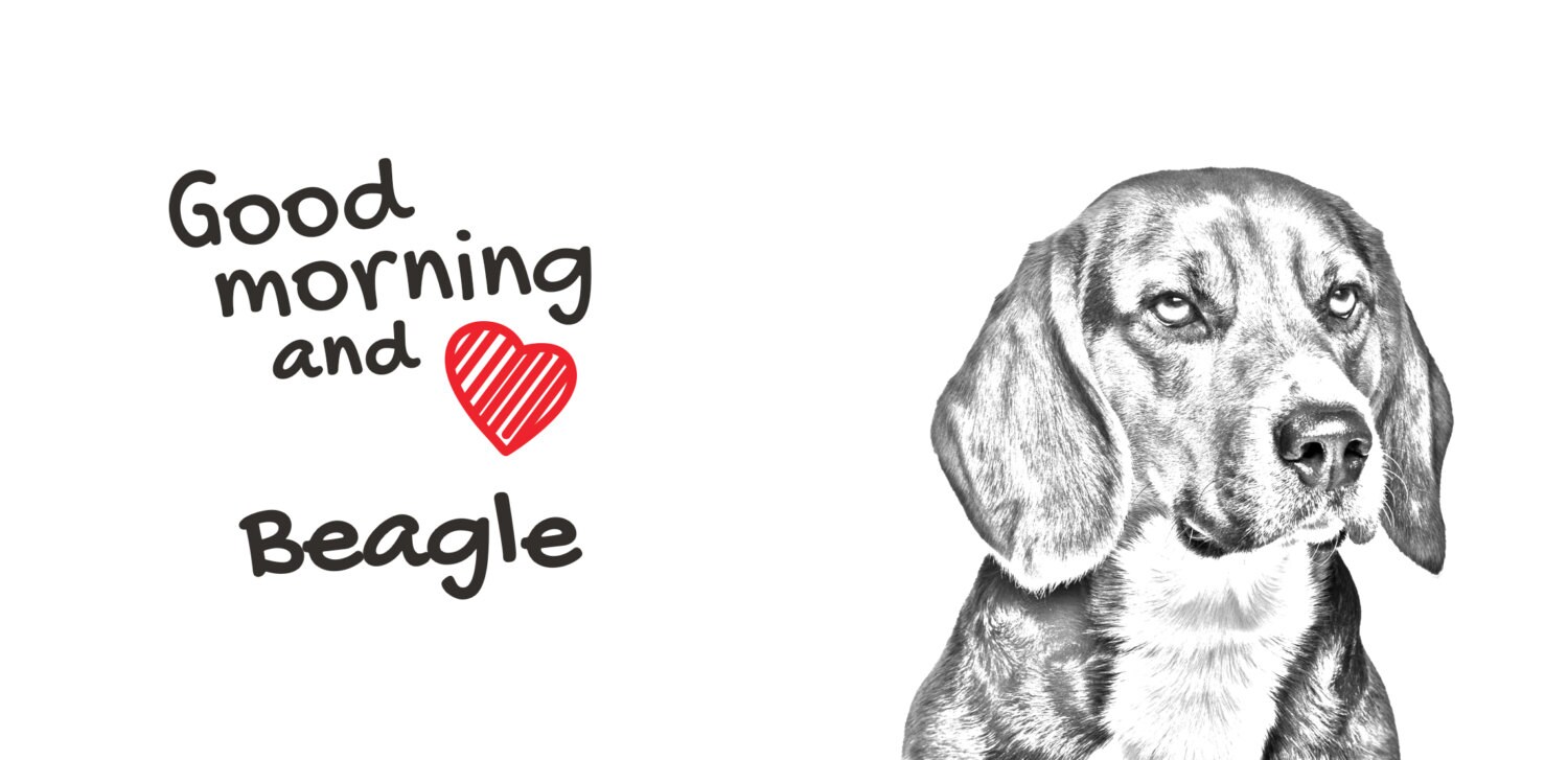 Beagle a Mug With a Dog. good Morning and - Etsy
