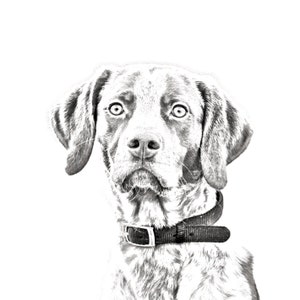 English Pointer Wooden Stand for Candles/pens With the Image - Etsy