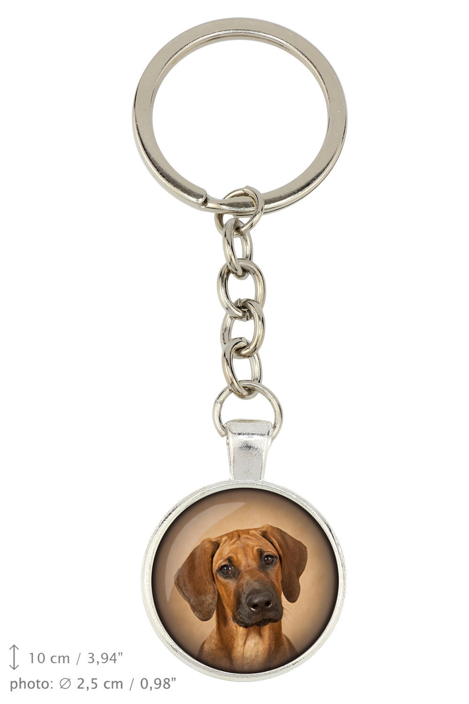 Rhodesian Ridgeback. Keyring, Keychain for Dog Lovers. Photo Jewellery ...