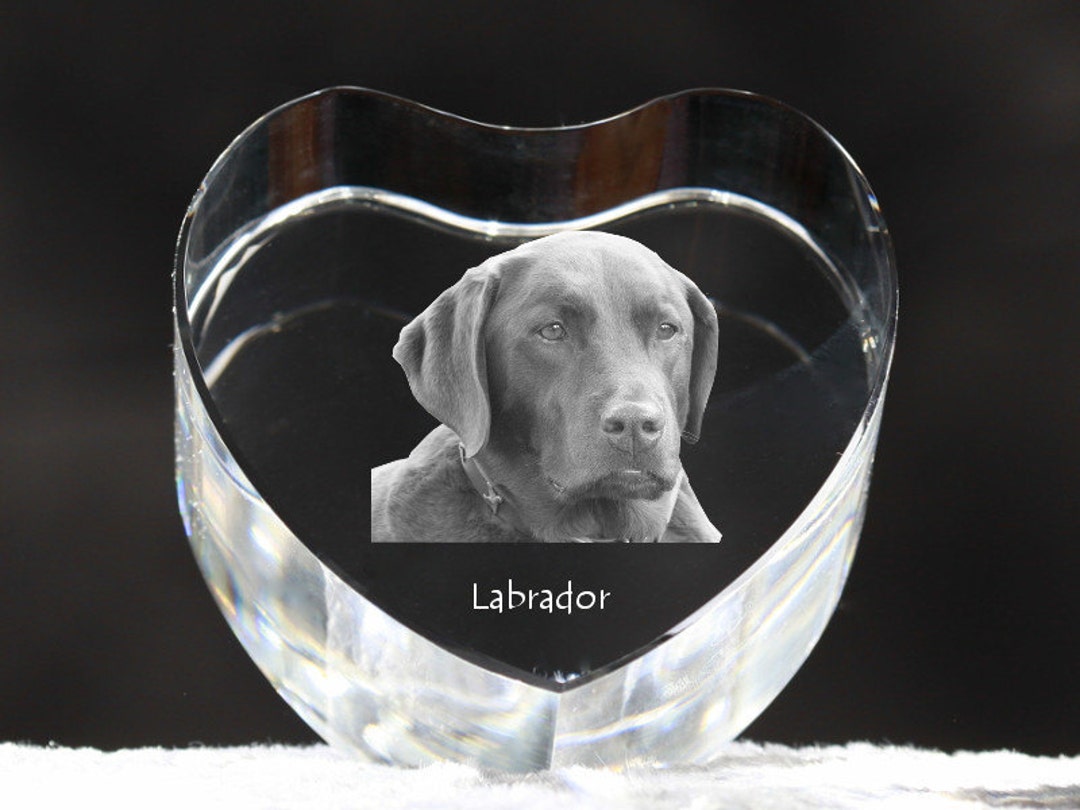 Labrador Retriever, Crystal Heart With Dog, Souvenir, Decoration ...