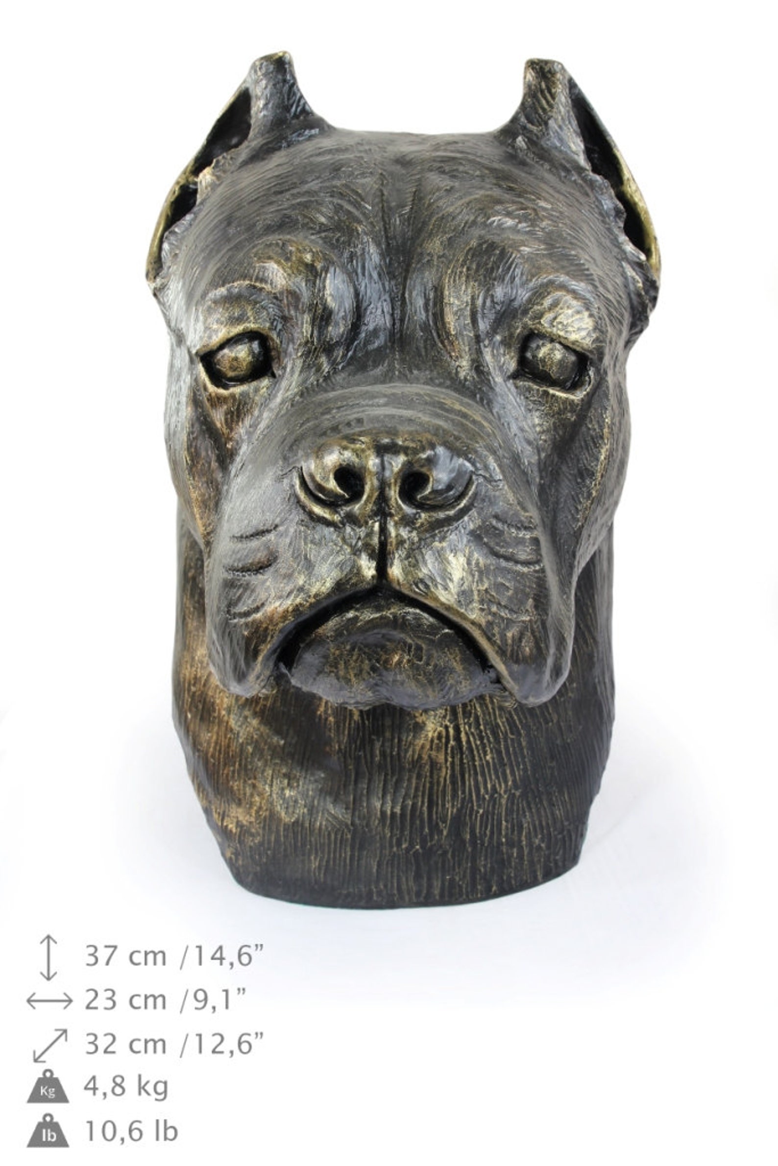 Cane Corso Dog Big Head Statue Limited Edition Artdog - Etsy