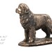 Urn for Dog’s Ashes With a Newfoundland Statue, ART-DOG Cremation Box ...