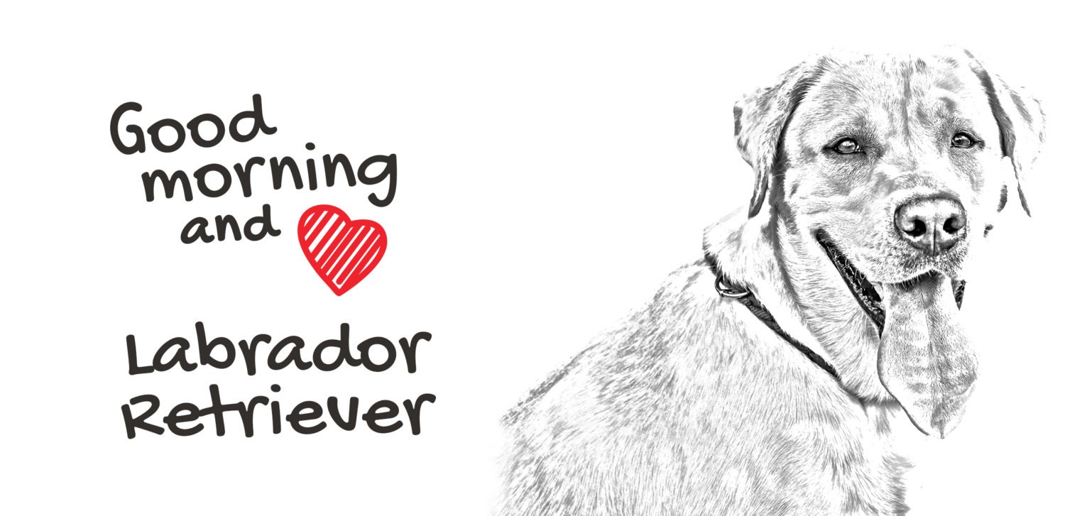Labrador Retriever - a Mug With a Dog. "good Morning and Love...". High ...