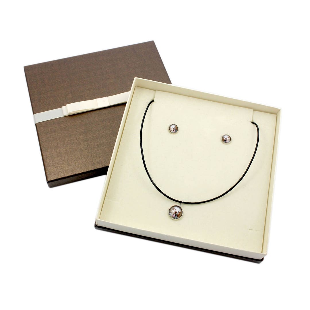 Clumber Spaniel. Jewelry With Box for People Who Love Dogs. Earrings ...