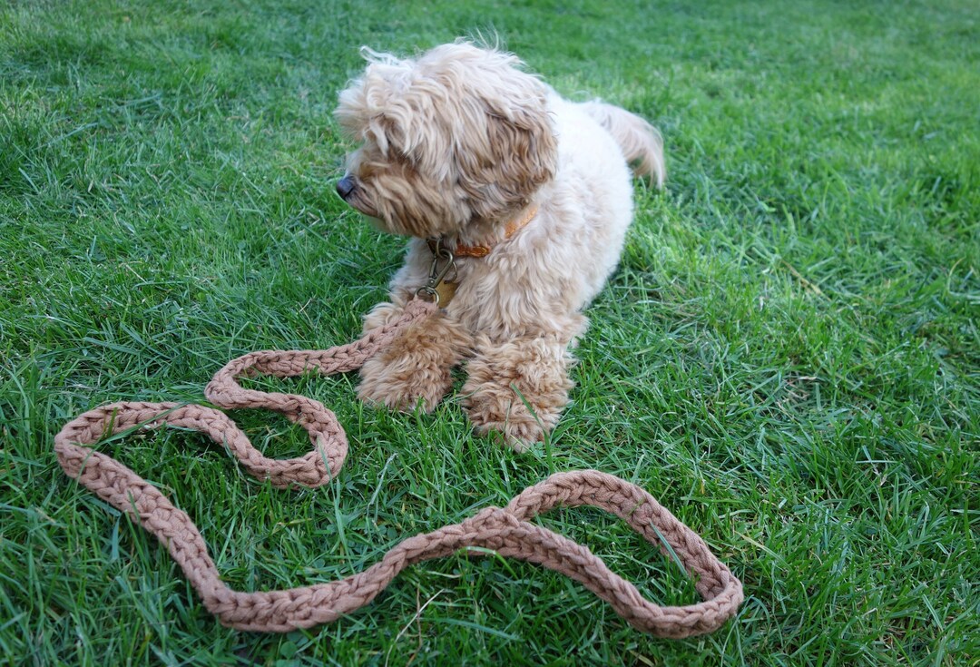 PDF Crochet PATTERN - Super Chunky Dog Leash /crochet Pet Diy ...
