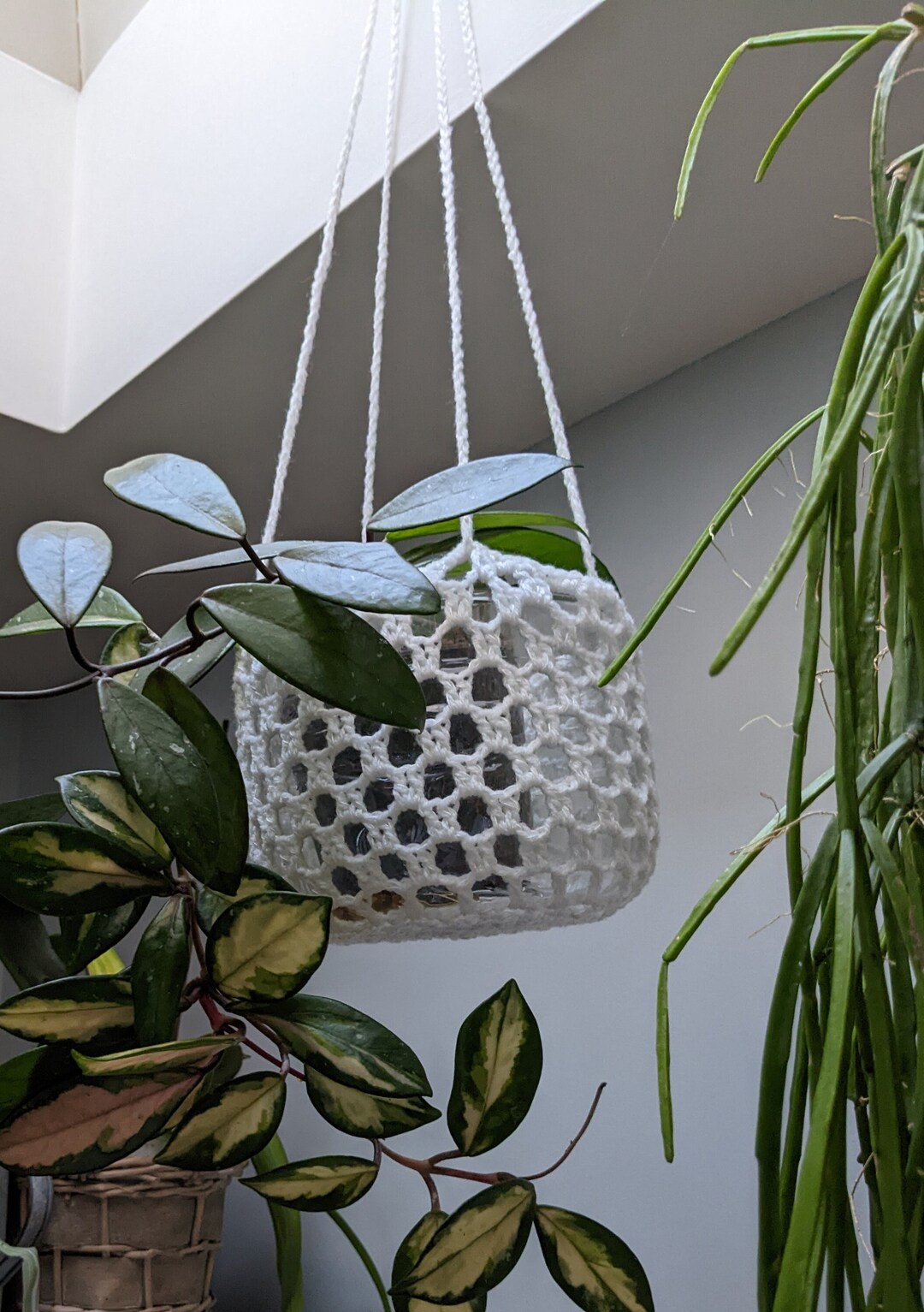 PDF Crochet PATTERN - Holey Moley Plant Pot Cover/ Crochet Home Decor ...