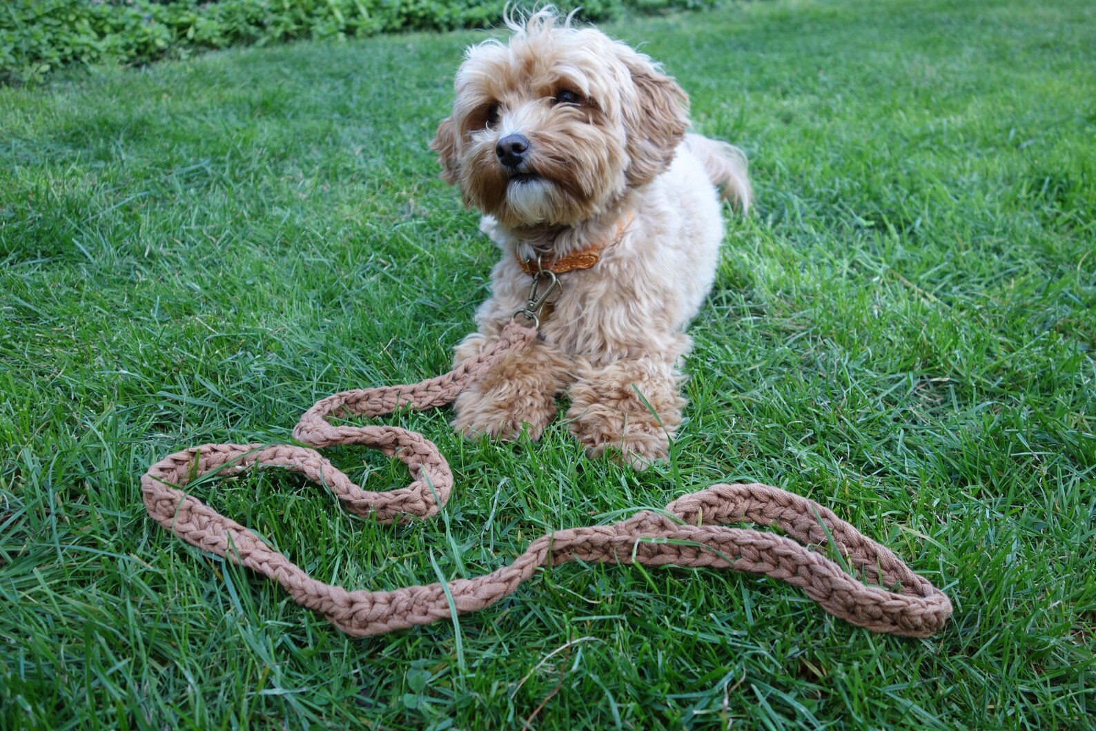 PDF Crochet PATTERN Super Chunky Dog Leash /Crochet Pet Diy | Etsy