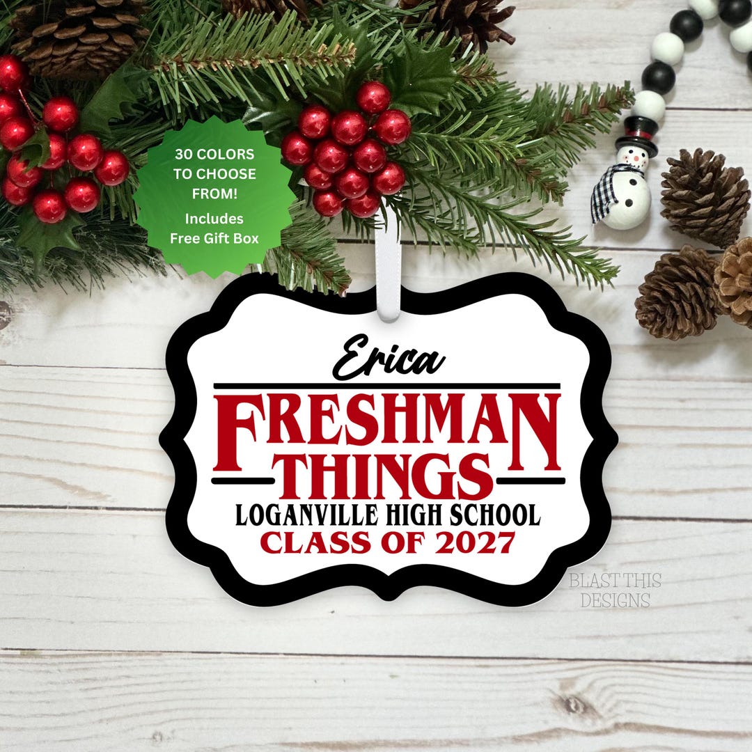 Freshman Things Personalized Ornament-gift for Teens-high School ...