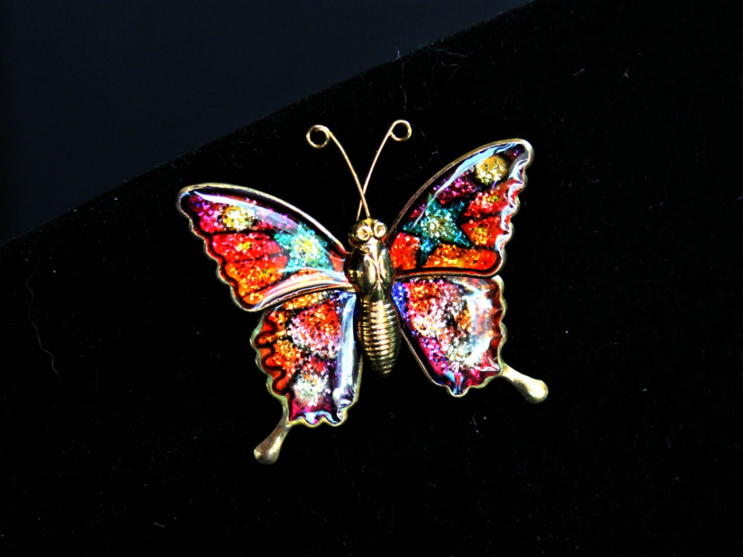 Butterfly Multi Colored With Star Pin in Case,butterfly Metal Pin ...
