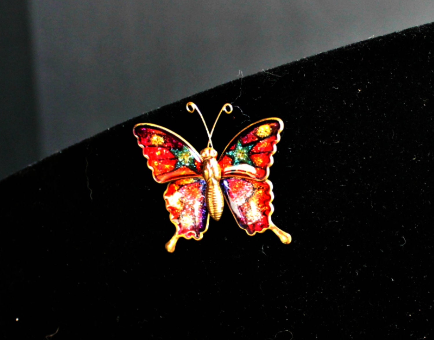 Butterfly Multi Colored With Star Pin in Casebutterfly Metal - Etsy