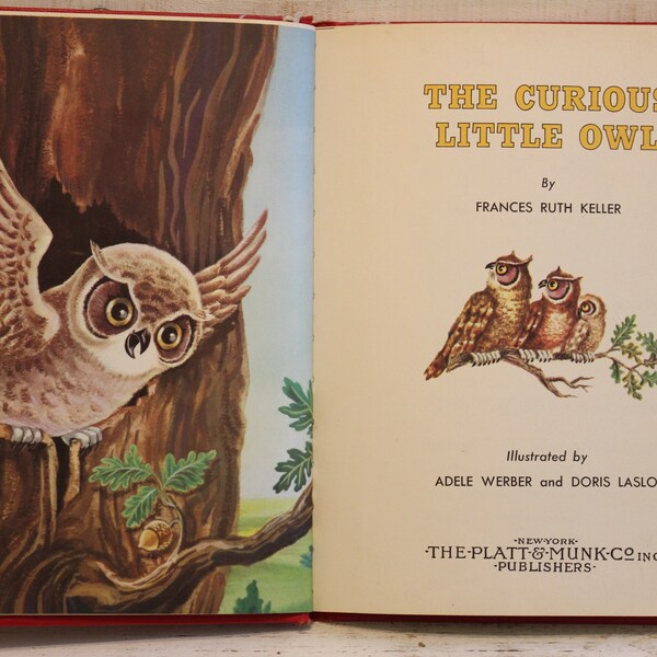 Platt and Munk Co - Etsy